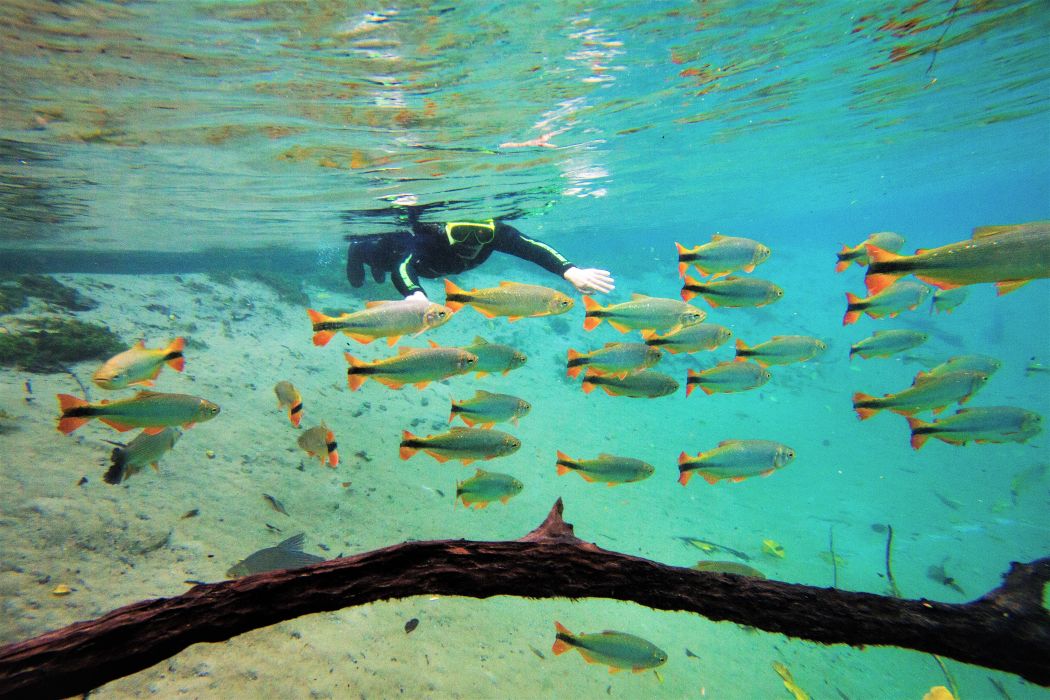 Rio da Prata - Flutuação - Águas Turismo